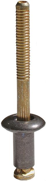 Autobody Master | APW BRANDED BAG 1/4 PEEL-TYPE RIVET PM46173 | Arnold ...